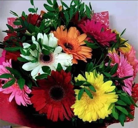 მე ემიგრანტი ვარ და მენატრება ჩემი სამშობლო Facebook