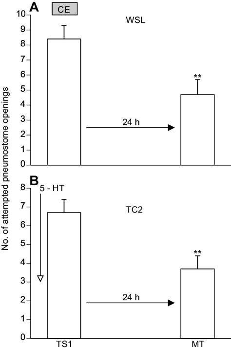 Predator Detection Or A Proxy Of Predator Detection In Smart Versus Download Scientific