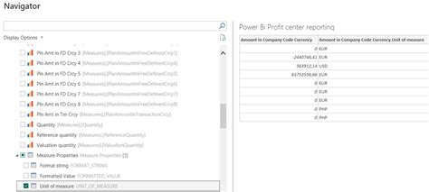 SAP Formatting In Power BI