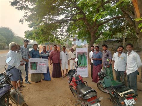 Telangana Agriculture Khammam Nalgonda Suryapet Hyveg Gandrathi