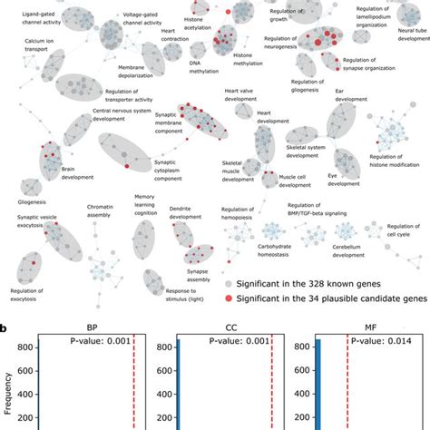 String Clusters Enriched In The 328 Known And 34 Plausible Candidate Download Scientific