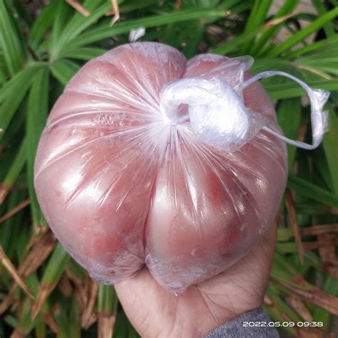 ရာသီပေါ် ရာသီပေါ် အသီးအနှံနှင့် အစားအစာများ