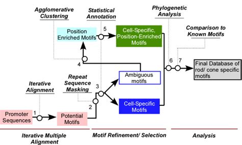 a block diagram of the iterative alignment modular motif selection