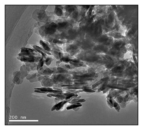 A SEM And B C TEM Images Of LMP C D SEM And E F TEM Images Download Scientific