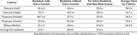 Height Of Five Beech Cultivars Depend On Type Of Rootstock Cm