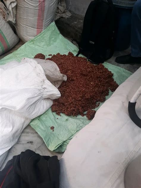 5 Kg Round Coco Peat Packaging Type Packet At ₹ 49 Kg In Amritsar Id 2855809769691