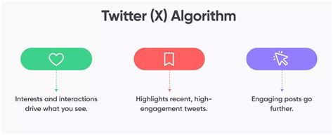 Breaking Down Social Media Algorithms What Works In 2025