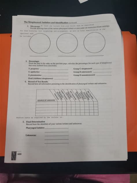 The Streptococci Isolation And Identification