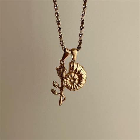 Rose And Shell
