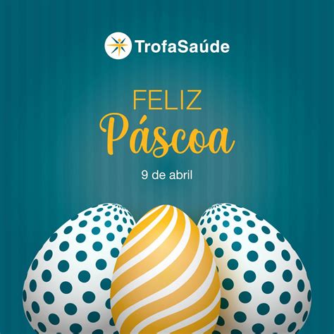 Sofia Costa Português Posted On Linkedin