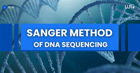 Sanger Method Of Dna Sequencing Principles And 7 Steps