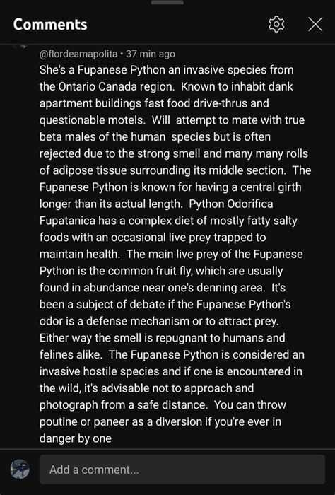 Im Not Sure Where This Came From But Also So Much Yes 🐍🇨🇦 Rfoodiecutie