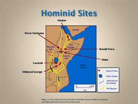 Ppt Olduvai Gorge Powerpoint Presentation Free Download Id3146752