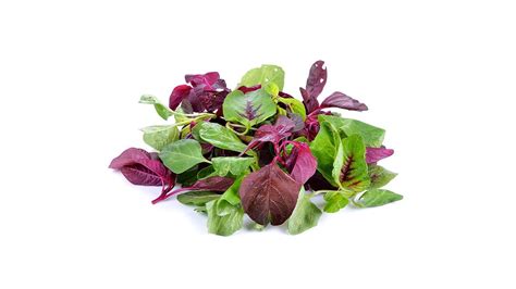 עלי בייבי ישראל ריפרש Wolt