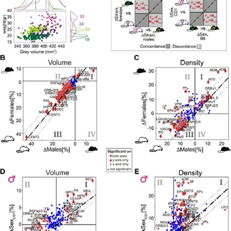Sexual And Cross Strain Dimorphism In C57bl6j B6 And Fvbcd1 Cd1
