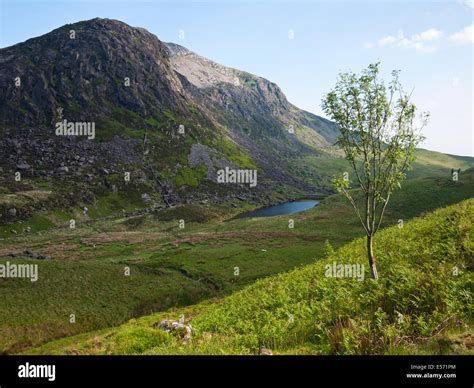 View To Moel Lefn Across Cwm Trwsgl From The Nantlle Ridge Eifionydd Snowdonia National Park