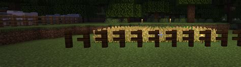 Help My Server Is Was Bugged R Minecraftserver