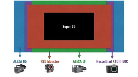 Medium Format Sensor Size Comparison At Laverne Gonsales Blog