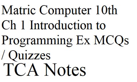 Computer 10th Ch 1 Introduction To Programming MCQs Quizzes TCA Notes