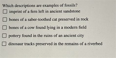 Solved Which Descriptions Are Examples Of Fossilsimprint Of