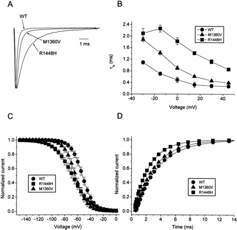 Inactivation And Recovery From Inactivation A Normalised Sodium