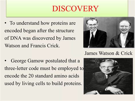 Genetic Code Ppt PPTX