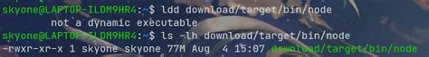 静态编译nodejs V16踩坑记 Skyone Blog