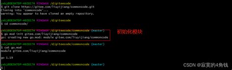 最详细的golang 私库gitlab gitee 模块开发 这一篇文章解决所有问题 golang 仓库管理maven CSDN博客