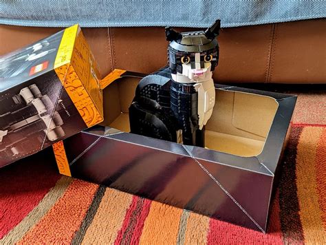 21349 Tuxedo Cat Lego Ideas Set Review Bricksfanz