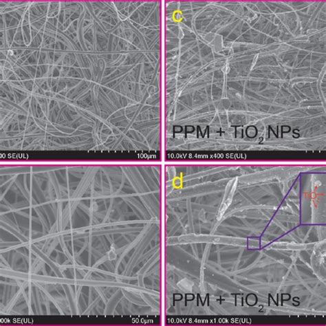 A Tem Image Of Tio2 Nps B Particle Size Distribution Graph Of Tio2