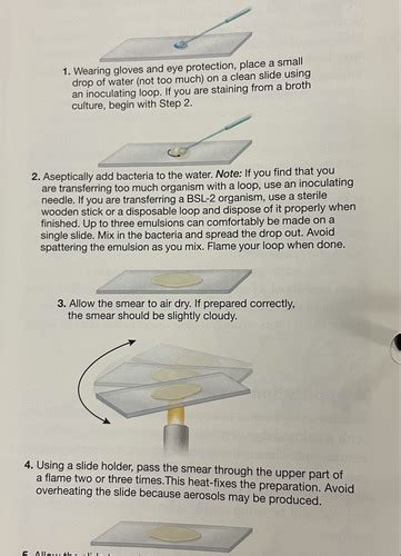 Microbiology Lab Questions For Lab Quiz Flashcards Quizlet