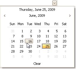 How To Paint Background Of Numbers In Dateedit Using Skin Element Winforms Controls