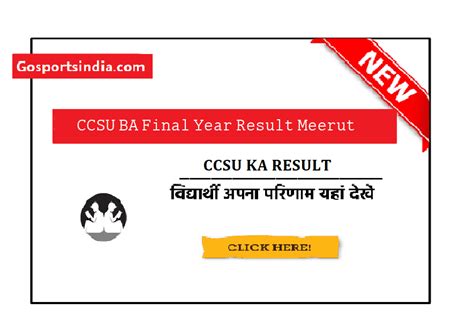 CCSU BA Final Year Result Meerut 2023