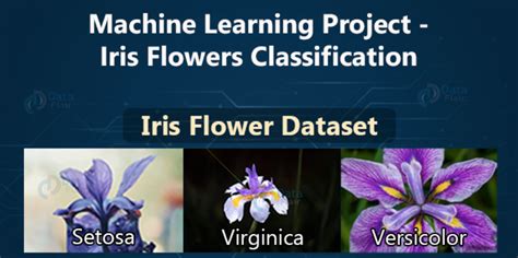 2020年度最佳的23个的机器学习项目（附源代码）机器学习人格预测项目 Csdn博客