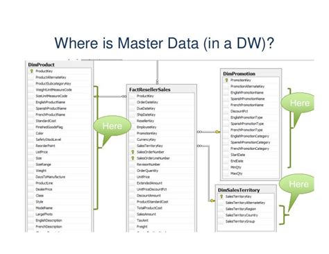 Microsoft Master Data Services With Sql Server 2012