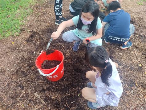 響應世界地球日 近年來校園修樹走生態修樹路線 邀請專業樹藝師🌳使用相對溫和的方式樹枝 為了減少廢棄物清運碳足跡 我們也嘗試直接就地碎木 鋪設碎