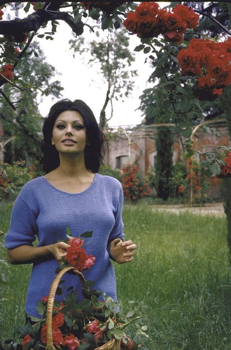 Italian Actress Sofia Loren Sexy Sexy