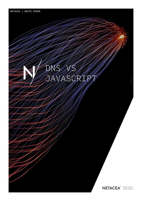 Whitepaper By Netacea Dns Vs Javascript By Conclubiltz Issuu