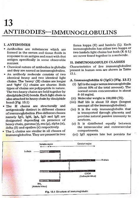 Complement System Lecture Notes Bsc Medical Lab Technology Studocu