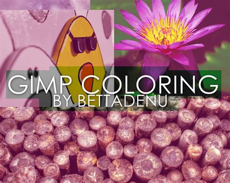 GIMP Coloring 4 By Bettadenu On DeviantArt