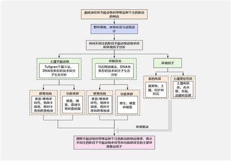 如何绘制一幅让论文导师眼前一亮的技术路线图？ 硕士论文技术路线图 Csdn博客
