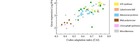 Correlation Between Gene Expression Mrna Fpkm Values And The Codon Download Scientific