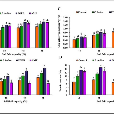 The Impacts Of Drought And Microbial Inoculation On Various Parameters Download Scientific