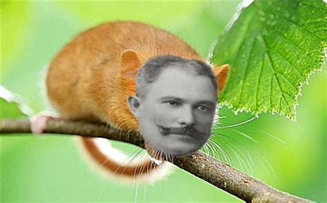 Janez Polh Scrolller