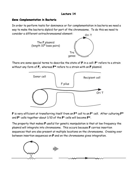 Lecture 14 Gene Complementation In Bacteria