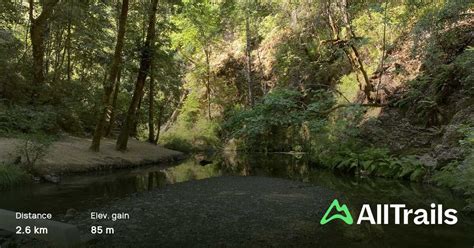 Sequoia Nature Trail California 67 Reviews Map Alltrails