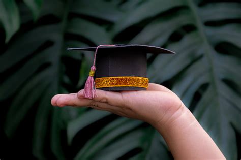 졸업생들은 아이의 손에 작은 졸업 모자를 쓰고 축하하고 졸업식 날에 행복을 느낍니다 졸업식 날 학생들에게 축하드립니다 대학교에 대한 스톡 사진 및 기타 이미지 Istock