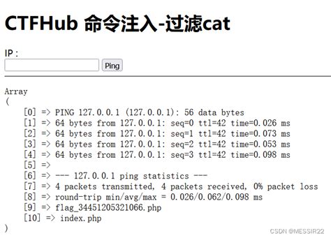 Ctfhub Web Rce 过滤ctfweb的过滤 Csdn博客 Ctfhub Web Rce 过滤ctfweb的过滤 Csdn博客