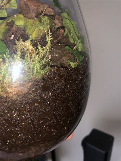 E6 Db3 F3 E 32 E5 424 E 82 F6 4 D2 F4 F3434 C1 Hosted At Imgbb — Imgbb