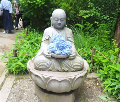 明月院ブルー見頃へ 花菖蒲はまだ三分ほど 気ままに